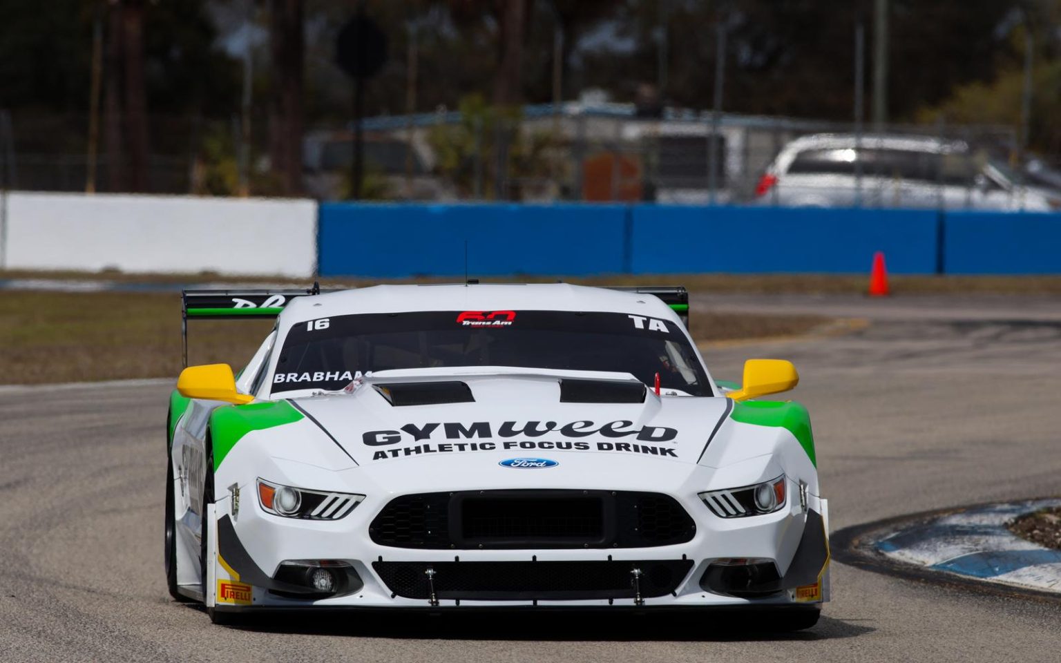 TA/GT Qualifying Canceled Due to Weather for Sebring Season Opener ...